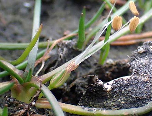 UnterWasserWelt - Das Online Tauchen Magazin › Das Tauchen Magazin